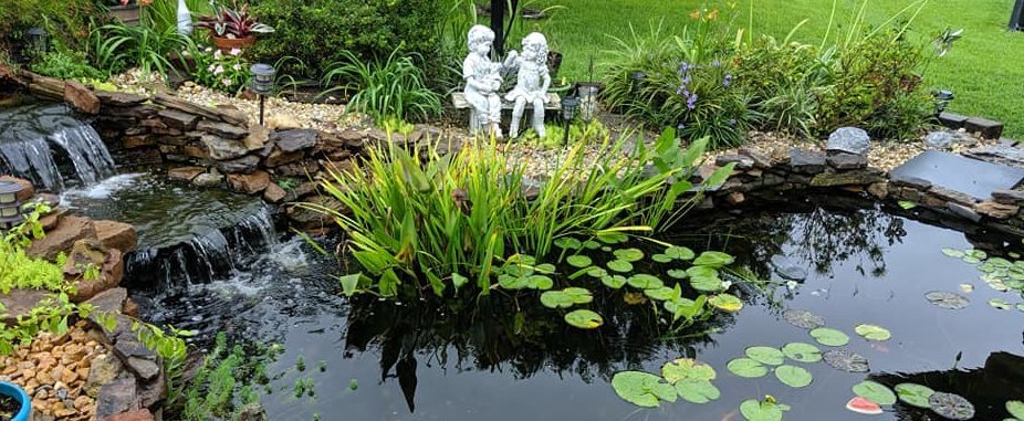 Tour local pond paradises this Sunday