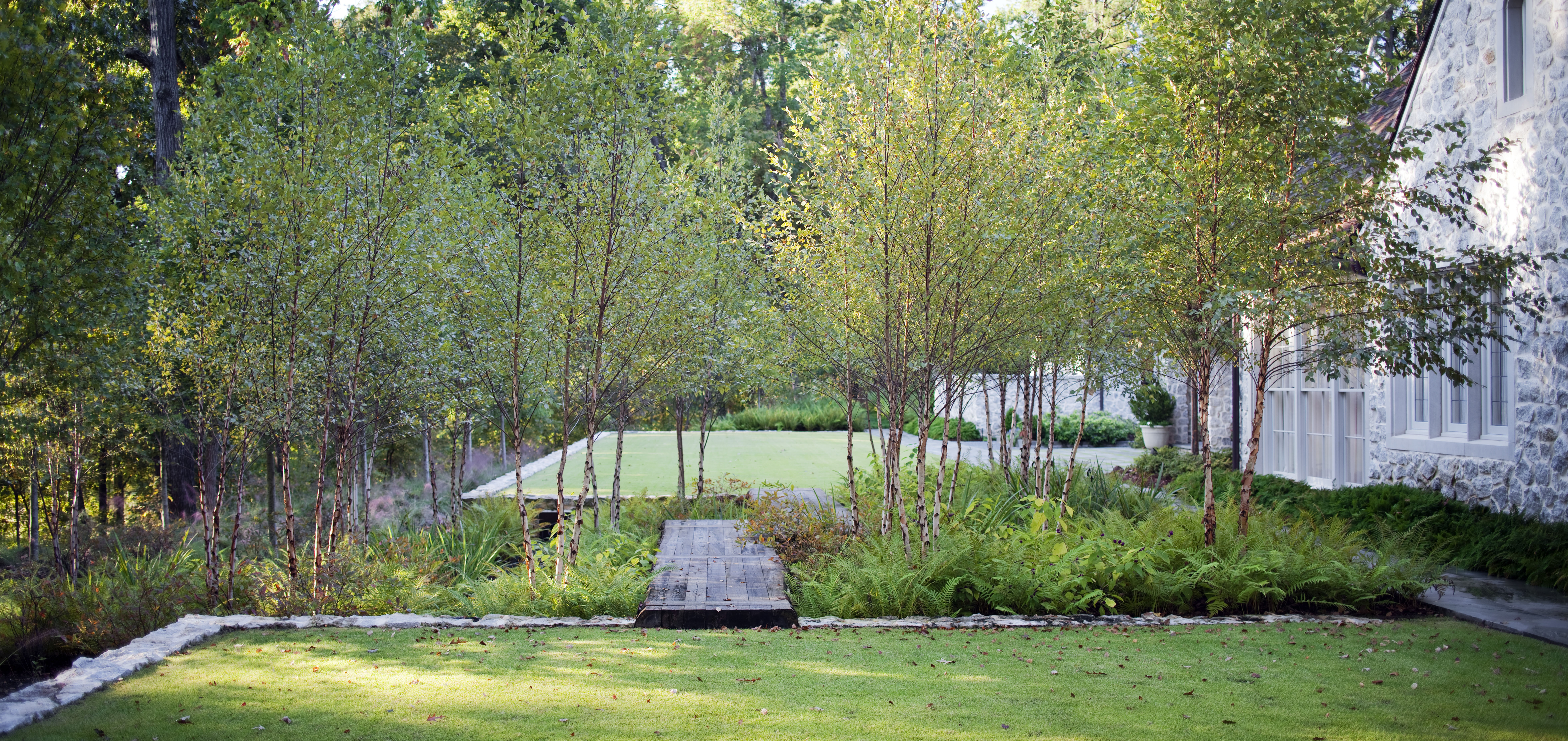 Lush Landscapes: How a backyard rain garden makes stormwater meaningful ...